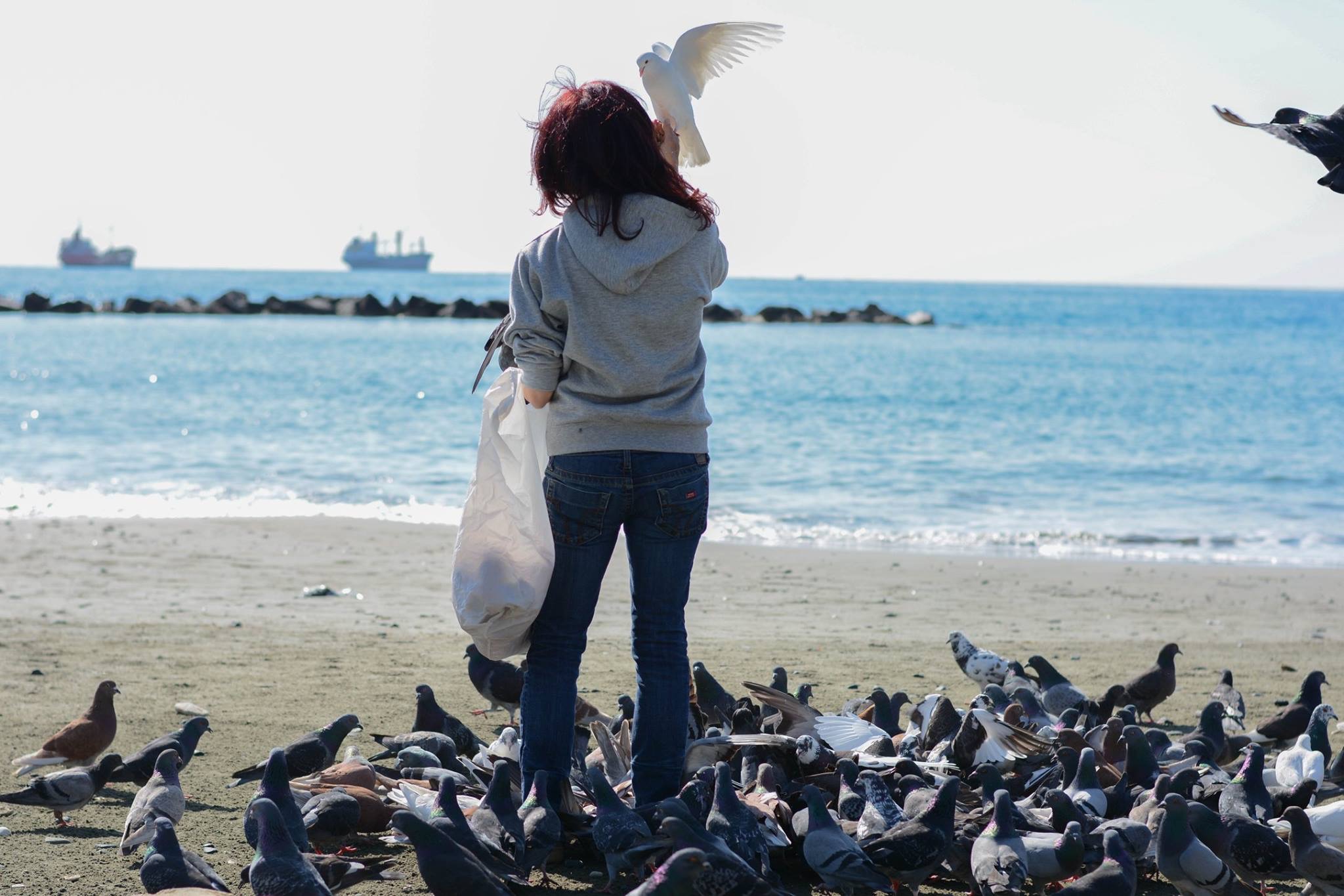 Even birds need love » Dateline Cyprus